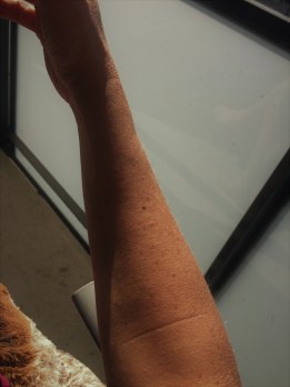 valloner – Helena Wijk – Släktforskning & historia