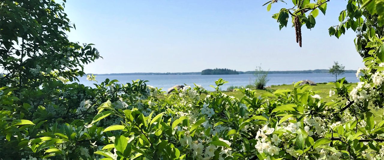 valloner – Helena Wijk – Släktforskning & historia